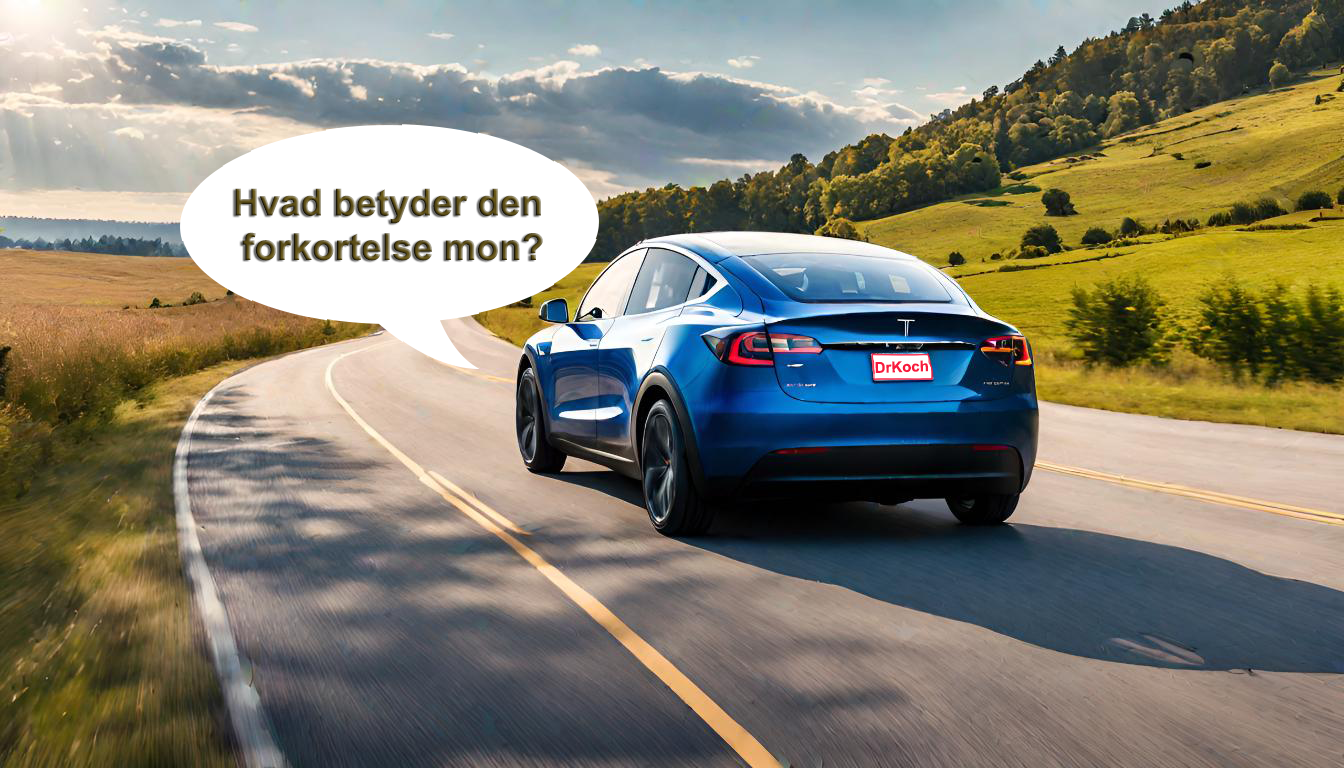 Hvad betyder forkortelserne i forbindelse med en Tesla? - Livets små ting
